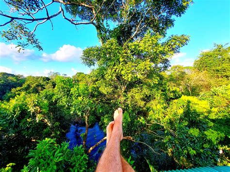 Jungle Feet Rfeetboys