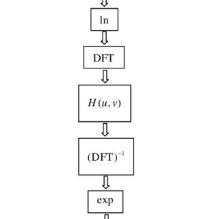 THE FLOW OF HOMOMORPHIC FILTERING Download Scientific Diagram