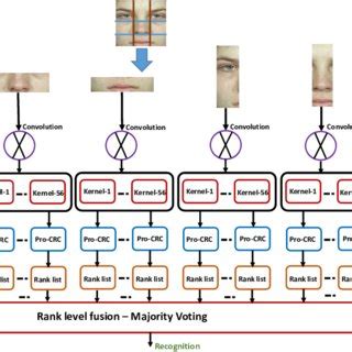 Block Diagram Of The Proposed Scheme Download Scientific Diagram