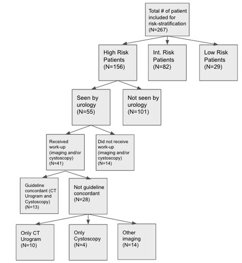 Do High Risk Patients Diagnosed With Microscopic Hematuria By Primary Care Providers Undergo
