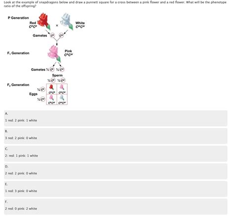 Match Inheritance Patterns Master Relevant Scenarios