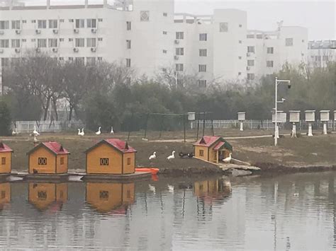 2018南京信息工程大学 R语言与计量经济学 粉丝日志