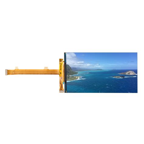 Customized Mobile LCD Screen Display Module LCD LCM IPS Screen OLED Screen LCD Module And
