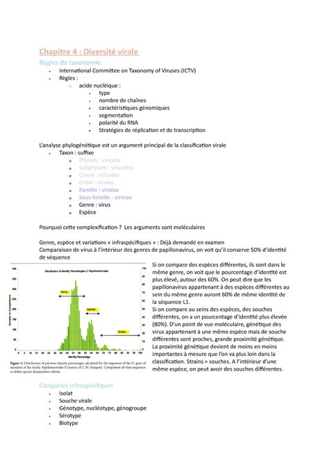 Chapitre 4 Cours De Virologie Chapitre 4 Diversité Virale Règles