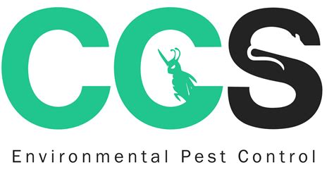 How To Get Rid Of Biscuit Beetles CCS Environmental Pest Control London