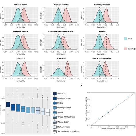 Heritability Distributions For Each Functional Network A Download Scientific Diagram