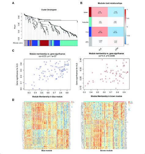 Visualization Of WGCNA Results A WGCNA Cluster Dendrogram Groups Download Scientific