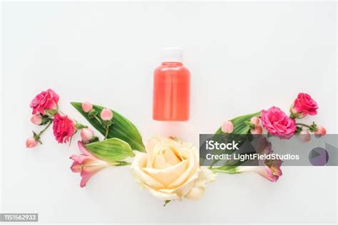 흰색 바탕에 오렌지 로션을 가진 Alstroemeria 장미 딸기 및 병으로 구성의 평면도 0명에 대한 스톡 사진 및 기타 이미지 Istock