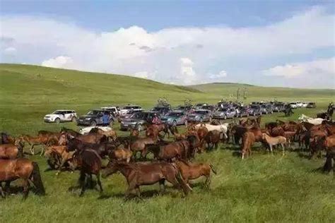 中国豪车最多的城市，浙江占仨，你家上榜了吗！路虎