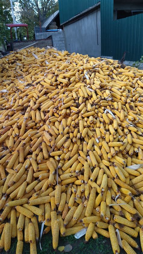 სოფლის მეურნეობა აგროკავკასია Facebook