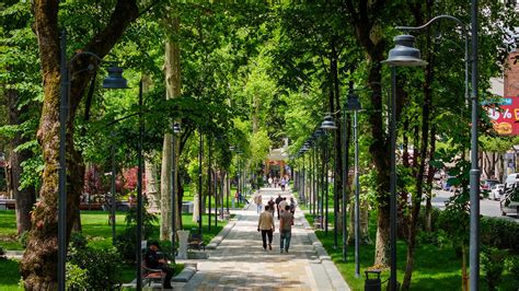 საქართველოს ინფრასტრუქტურის სამინისტროს მუნიციპალური განვითარების ფონდმა პროგრამა