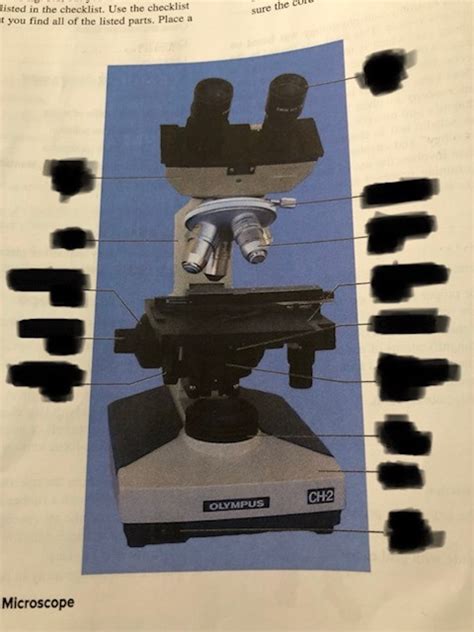 Microscope Diagram Quizlet