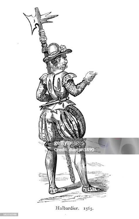 Halberdier High Res Vector Graphic Getty Images
