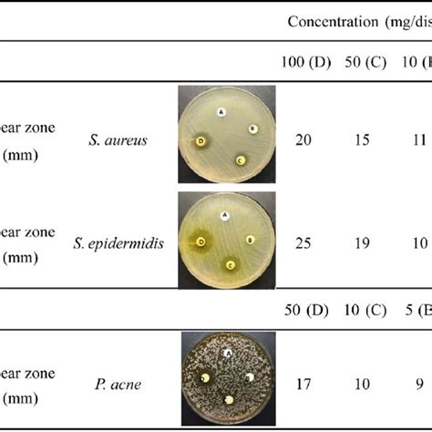 Pdf Antimicrobial Antifungal Effect And Safety Verification Using