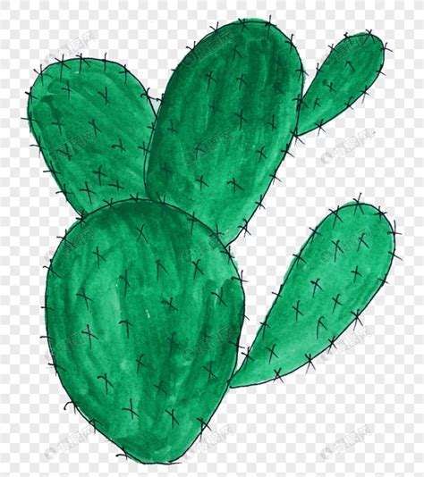 녹색 선인장 이미지 사진 400253591 무료 다운로드