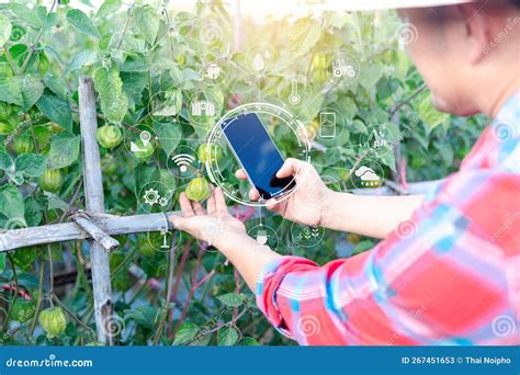 Iot Internet Of Things Modern Agriculture Smart Farming System Concept Internet Technology