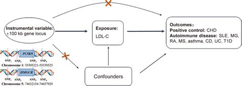 Research Overview And Design Of Drug Target Mendelian Randomization Download Scientific Diagram