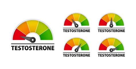 20256593 Testosterona Baja Stock Illustrations Depositphotos