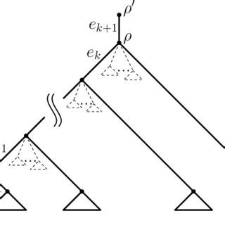 Representing A Phylogenetic X Tree T Relative To A Reference Leaf I Download Scientific