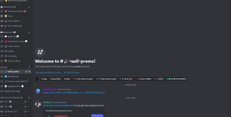 Make You A Full Discord Server By Liamtheging3 Fiverr