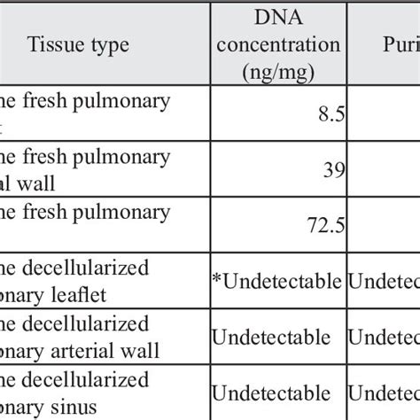 Dna Extraction Results Since Dna Was Extracted From About 15 Mg