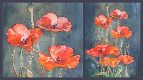 Уроки рисования Как рисовать маки Акварель Как рисовать цветы Youtube