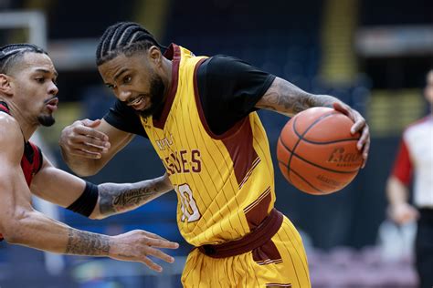 Jackals Stuff Rogues In Thriller The Newfoundland Rogues