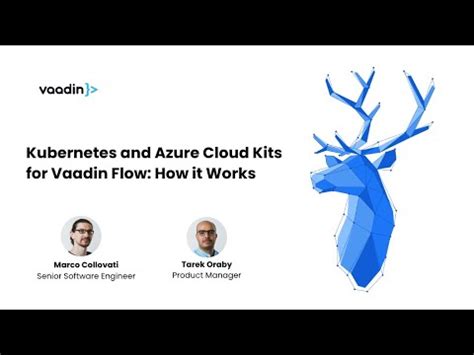 Webinar Kubernetes And Azure Kits For Vaadin Flow Leo Golas