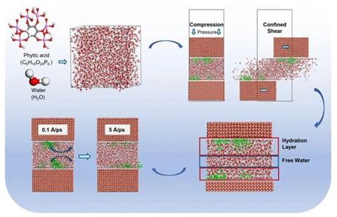 Dynamics Lubrication Interface Mdpi Colloids Openaccess