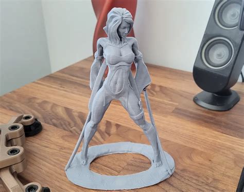 Female Sword Warrior By Thedude Makerworld