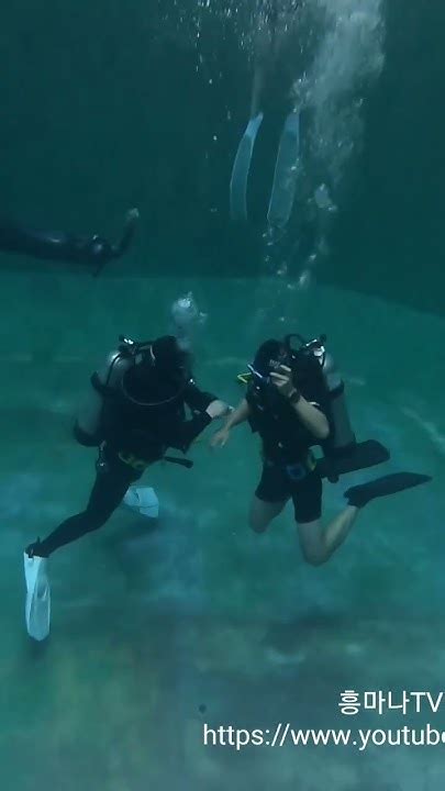 중성부력 우와~공기빼자요😆스쿠버다이빙asmr레슨오픈워터자세교정흥마나tv어드밴스스쿠버다이빙교육스노쿨링스쿠버리뷰