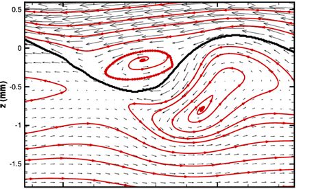 Instantaneous Vector Field And Streamlines In The Frame Of Reference