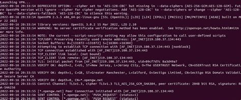 Connect Vpn Using Python Delft Stack