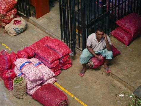 Cristina Bodea Truthout