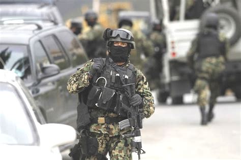 Gafes Presentarán Resultados De Primeros Días En Sinaloa Entre Veredas