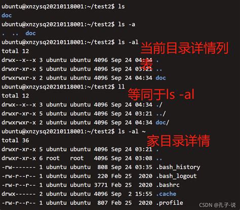 Linux操作命令分类详解 目录文件（二）在linux中删除目录file探测文件内部决定文件类型 Csdn博客