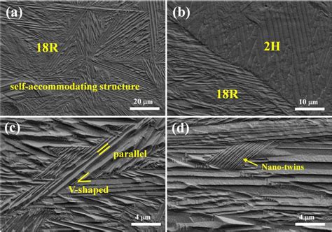 Sem Microstructures Of Lpbf Ed Cualni Smas A 18r Martensite B 18r Download Scientific