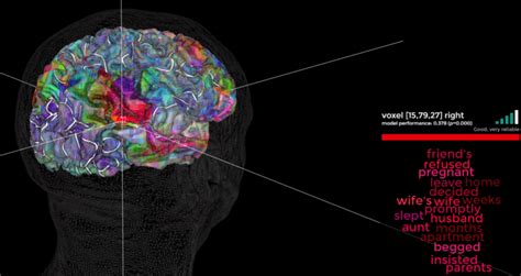 Berkeley Neuroscientists Create Amazing Interactive Brain Atlas Today Translations