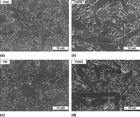 High Magnification Sem Micrographs Of Polished And Plasma Etched