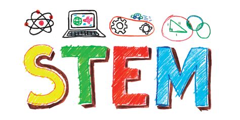 Stem Words Diagram Quizlet