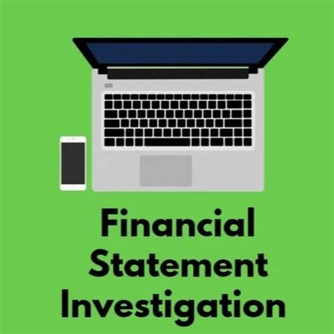 Financial Statement Investigation Service At Rs 9999 Company In Kanpur