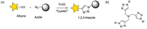 6 4 A Copper Catalysed Azide Alkyne Cycloaddition Cuaac B