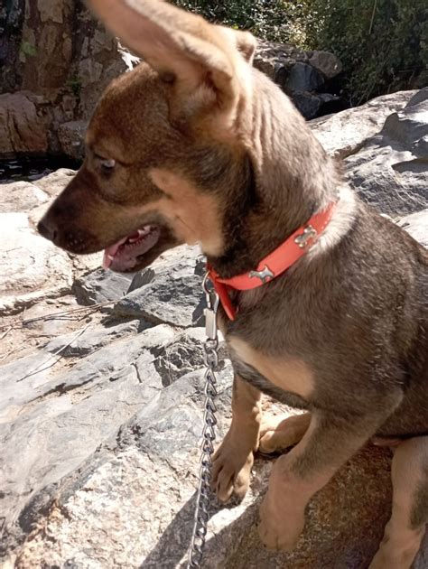 Aprovechemos De Comenzar El Año De La Mejor Manera Con Todos Nuestros César Hans Cancino Zapata