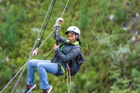 Tree Top Zip Lining Canopy Slides Hermanus Percy Tours