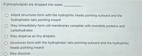 Solved If Phospholipids Are Dropped Into Water Bilipid