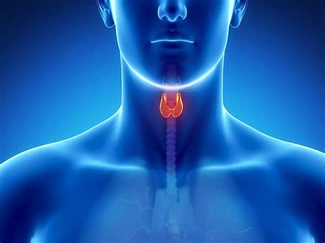 Primary Hyperparathyroidism Guidelines Physician S Weekly