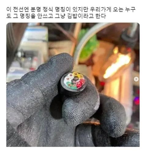전기계의 누네띠네 유머 움짤 이슈 에펨코리아