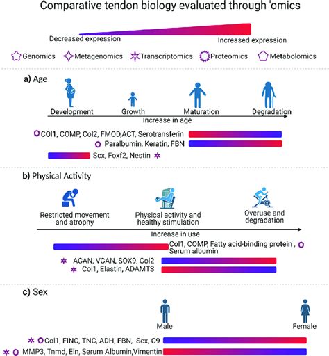Comparative Metabolic Evaluation Of Biological Differences Already