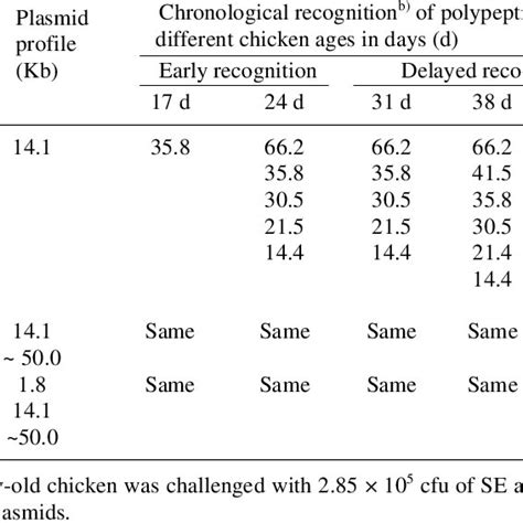 Summary Of Chronological Recognition By The Chicken A Immune System Of