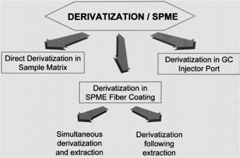 Derivatization Techniques Used In Solid Phase Microextraction 6163 Download Scientific Diagram